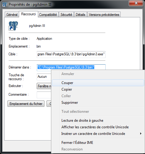 Gestion Des Rasters Postgis