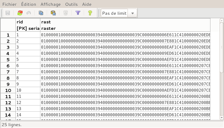 Gestion des rasters-PostGIS